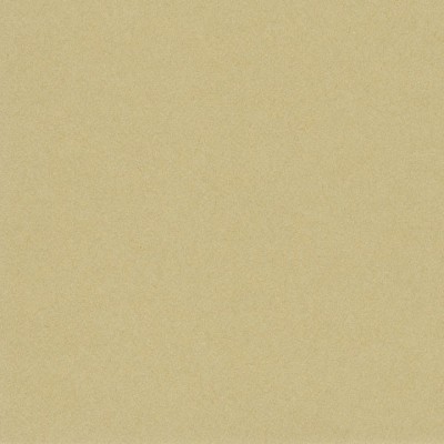 P 462 paszpartukarton